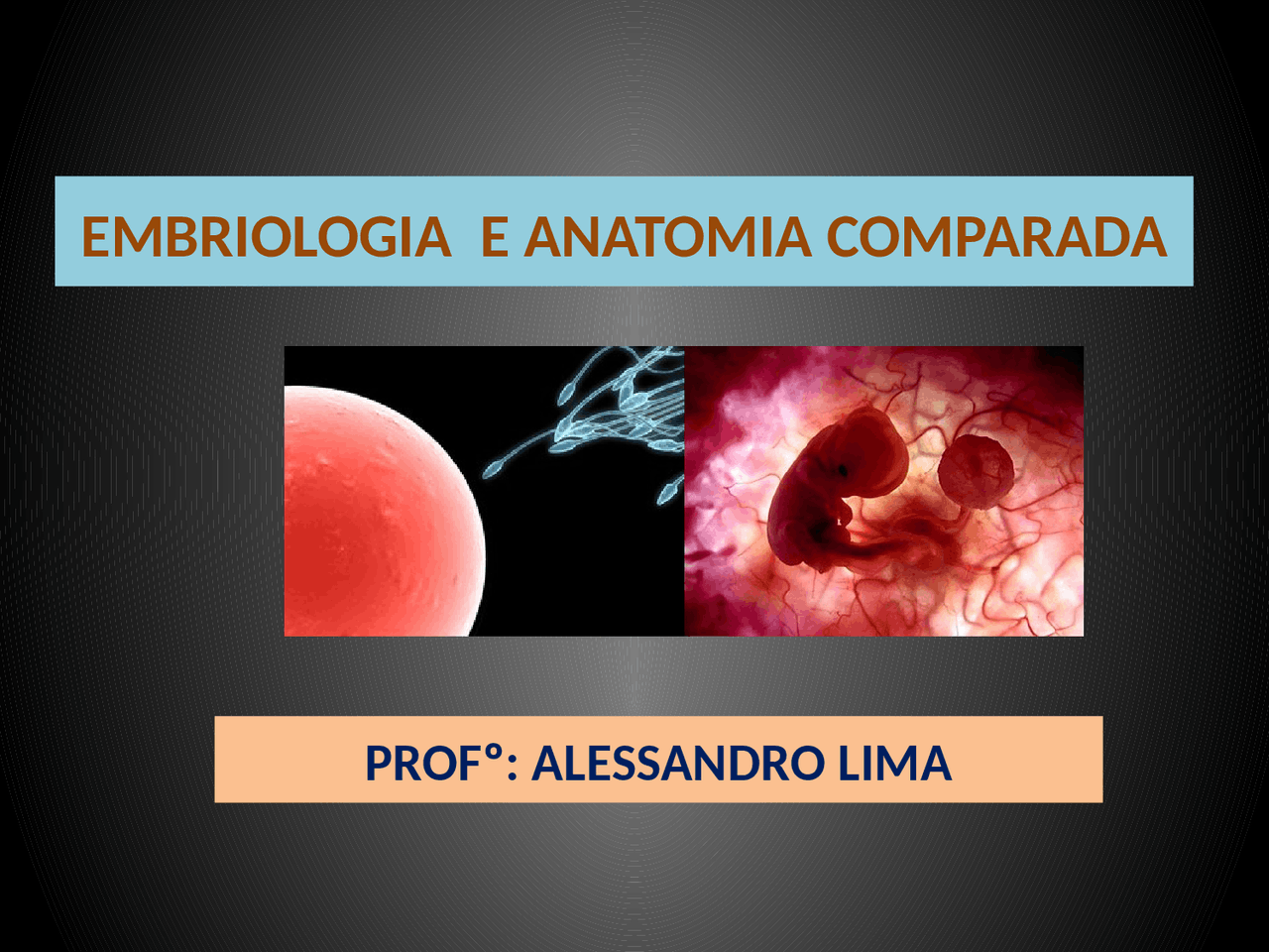 Apresentação embriologia I - Aula sobre embriologia - Docsity