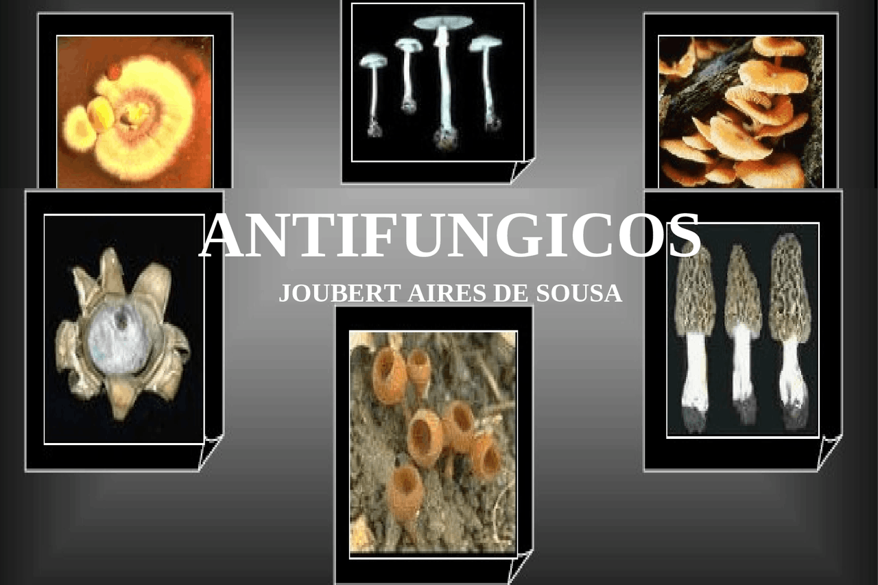 Antifungicos - farmacologia dos antifungicos - Docsity