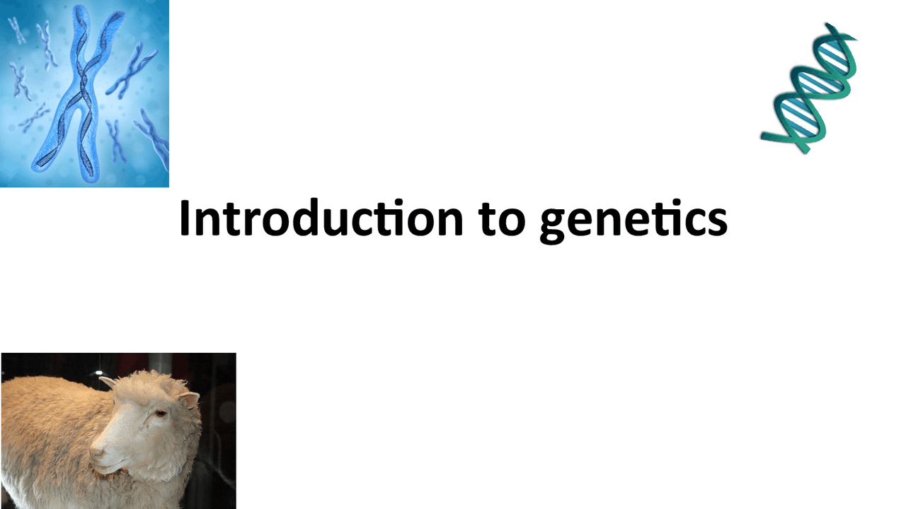 01 Inheritance Genetics Inheritance Docsity