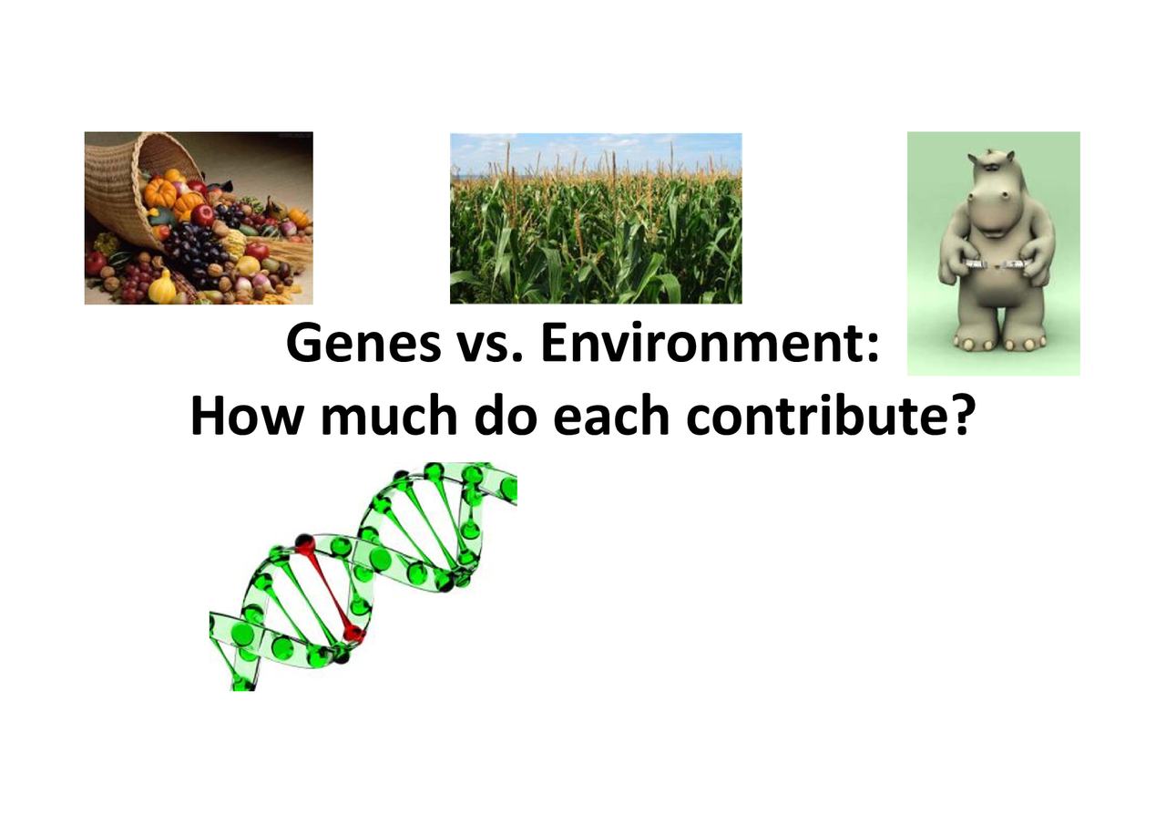 17 Contribution Of Genes Vs Environment Ii Genetics Environment