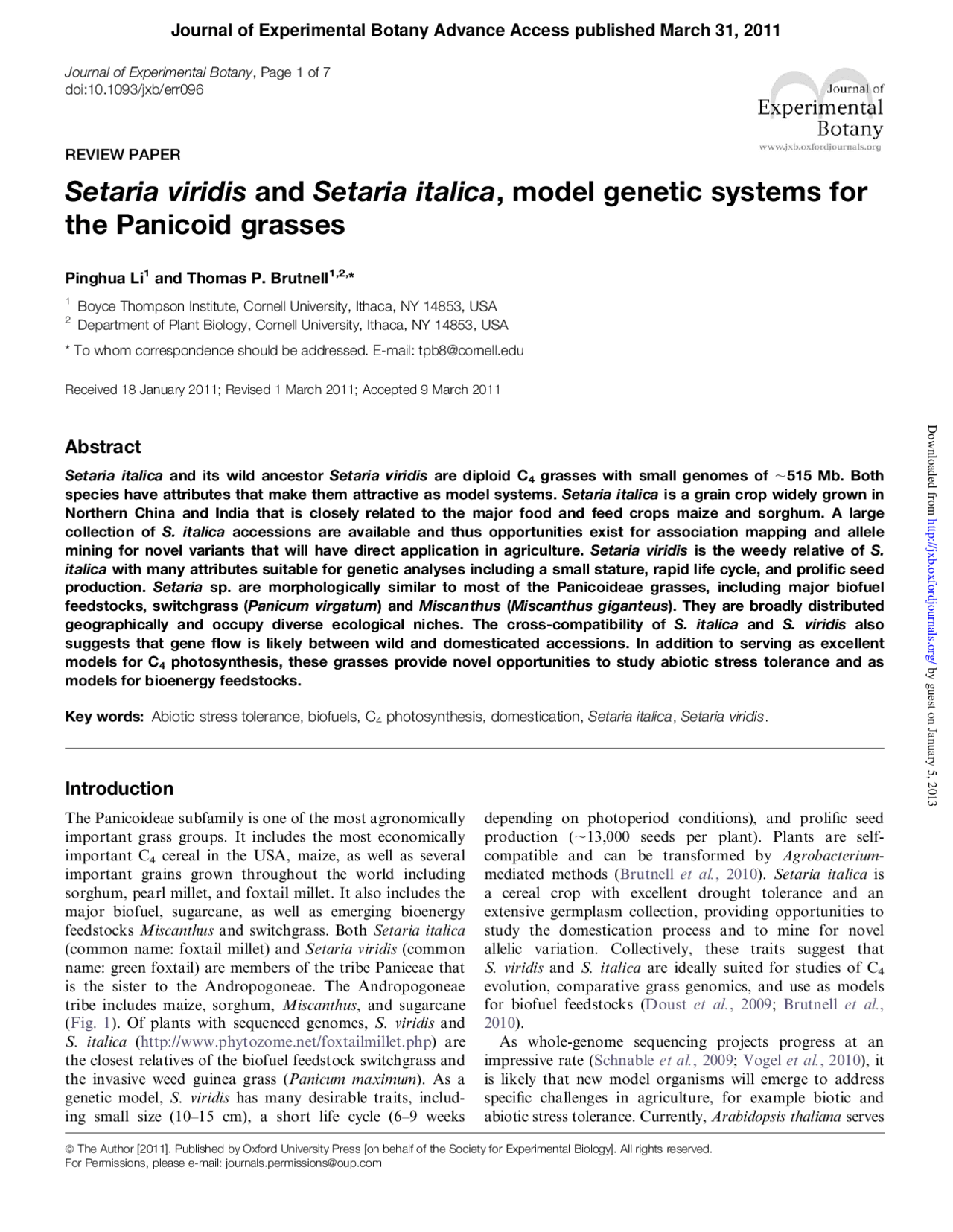 Setaroa viridis and Setaria italica, model genetic systems for the ...
