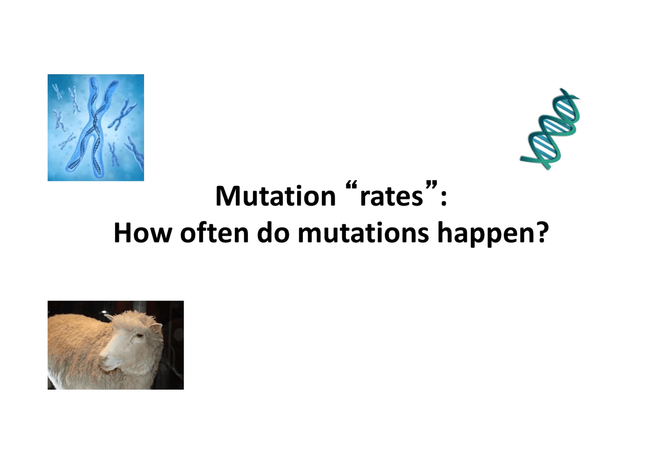 12 - Mutation Rates - Genetics, Mutation - Docsity