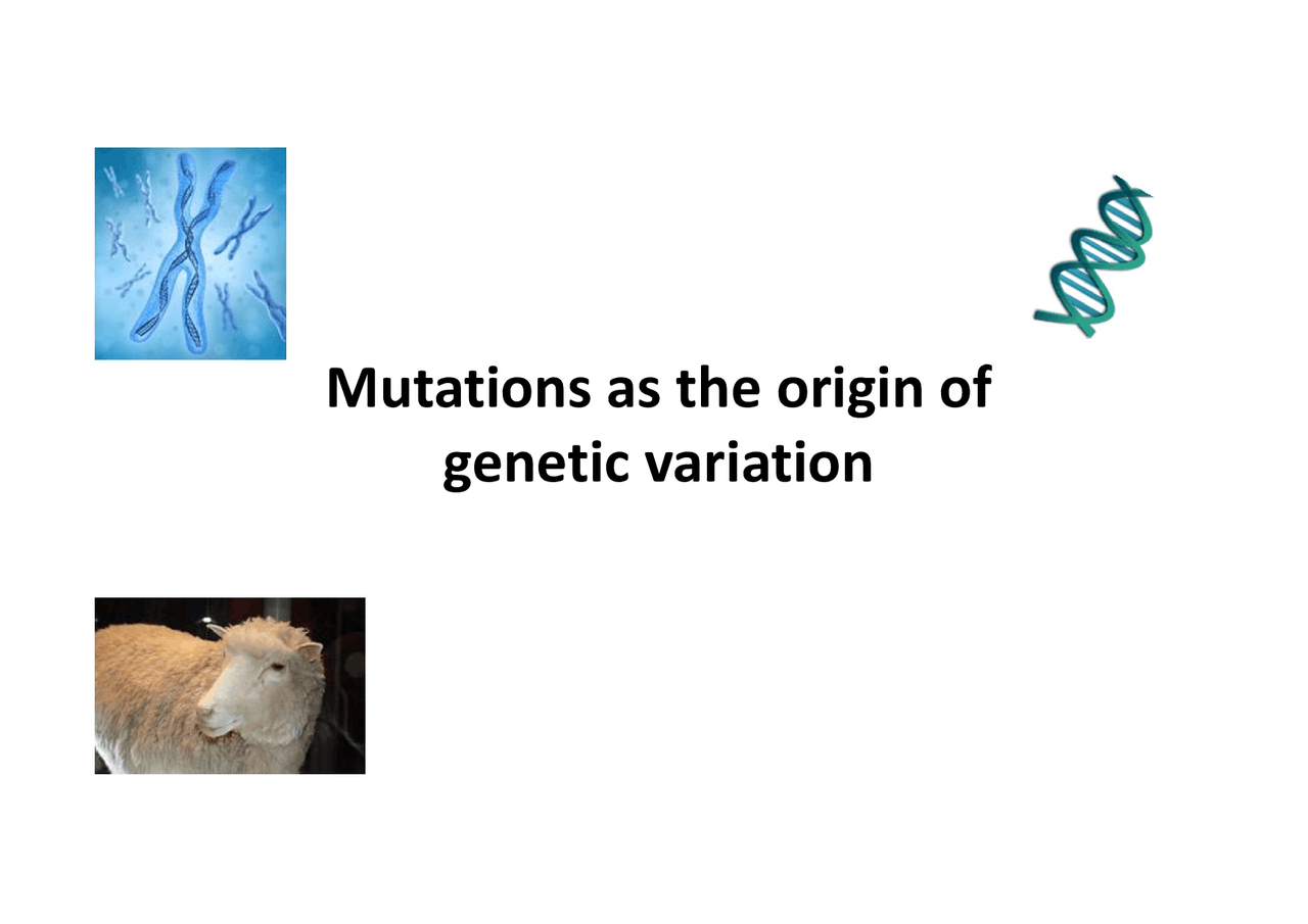 10 - Origin of Genetic Variation - Genetics, Mutation - Docsity