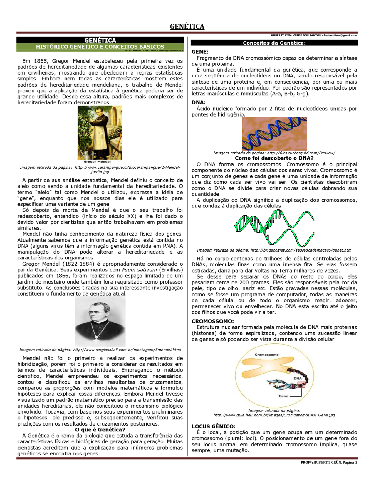 01 GenÉtica Conceitos BÁsicos Conceitos BÁsicos Docsity