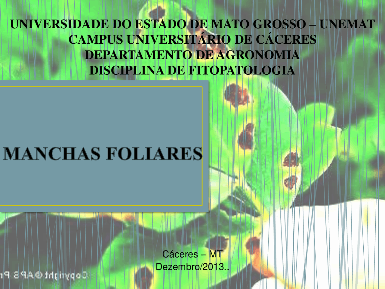Apresentação De Fitopatologia Manchas Foliares Final 1 Apresentação