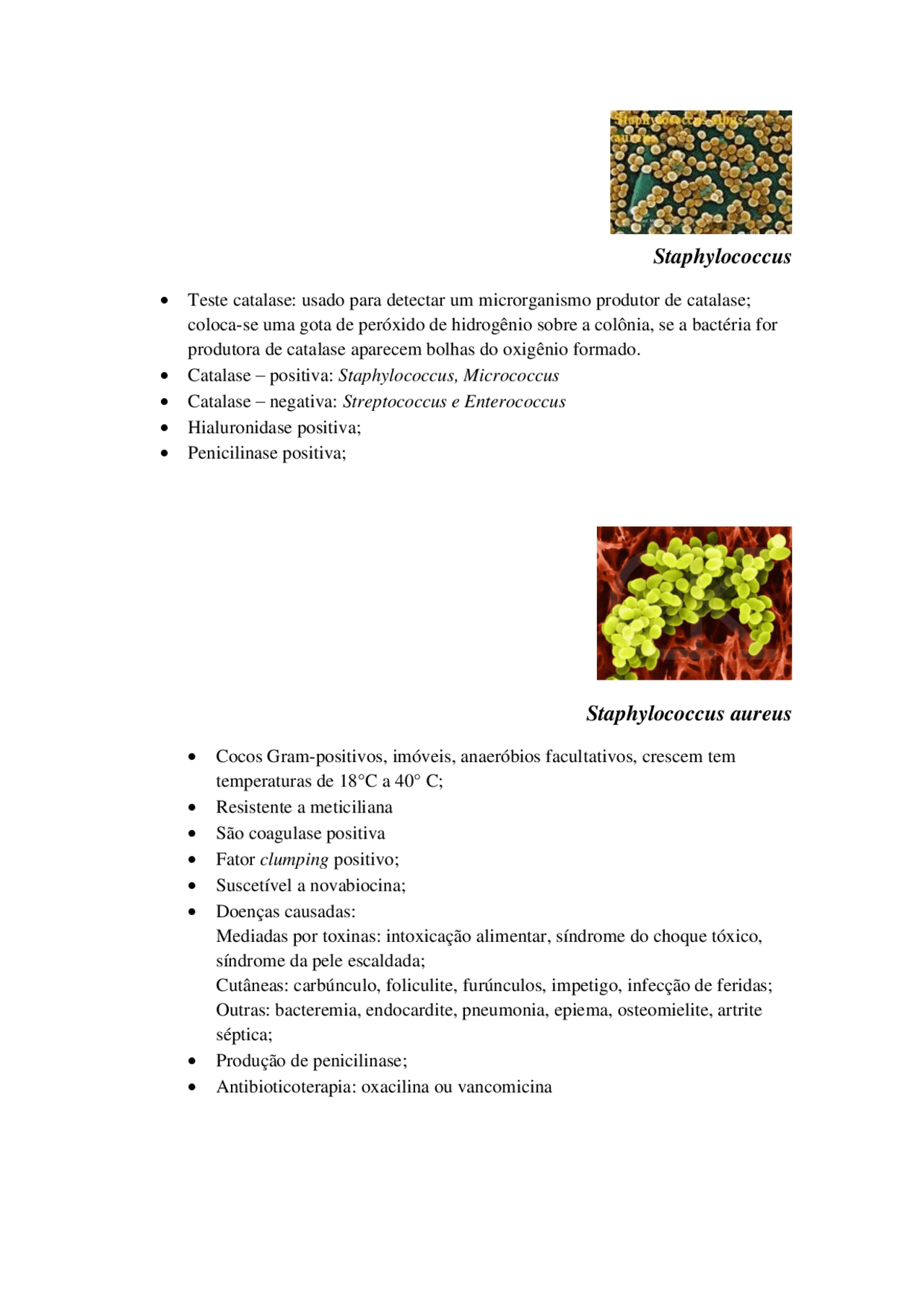 Revisão micro - resumo Streptococcus, Staphylococcus e Pseudomonas ...