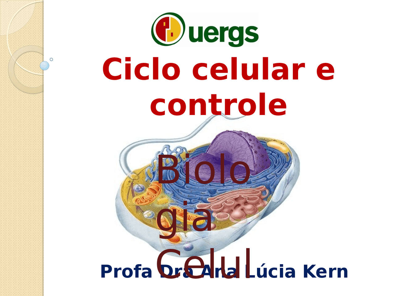 Aula Ciclo Celular Biologia Celular Docsity