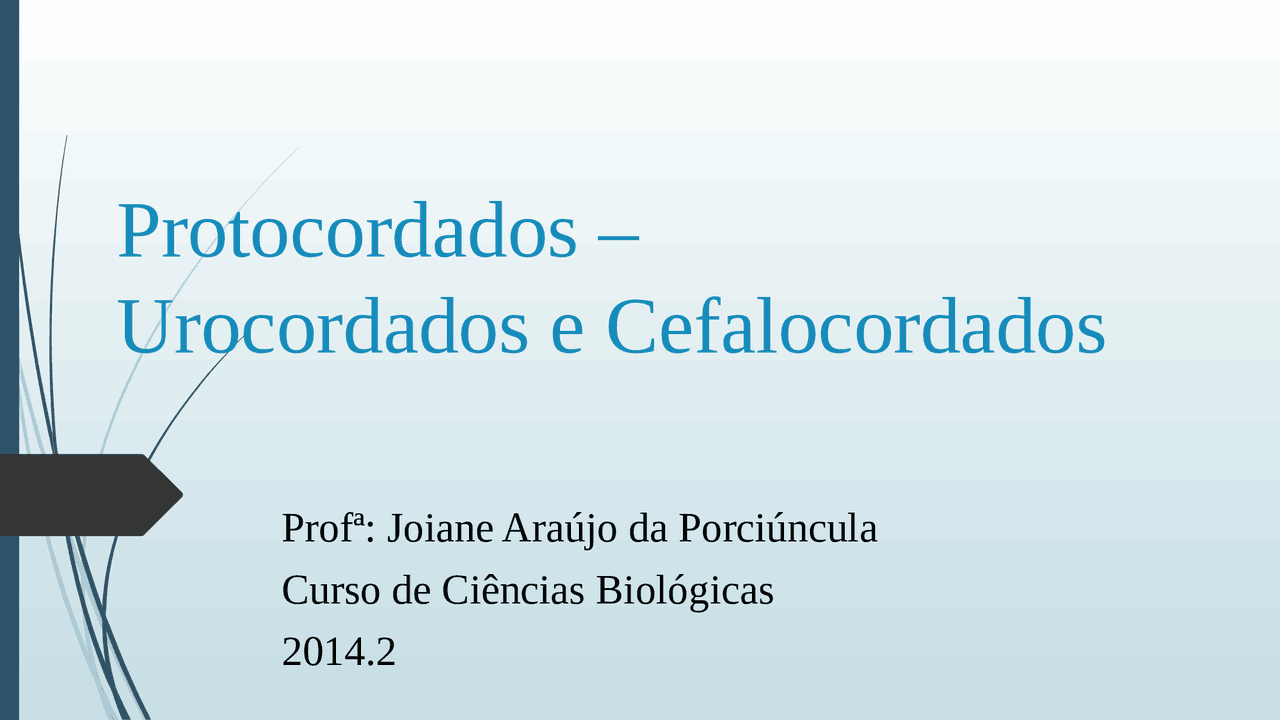 Protocordados – - aula sobre protocordados, zoologia dos cordados - Docsity