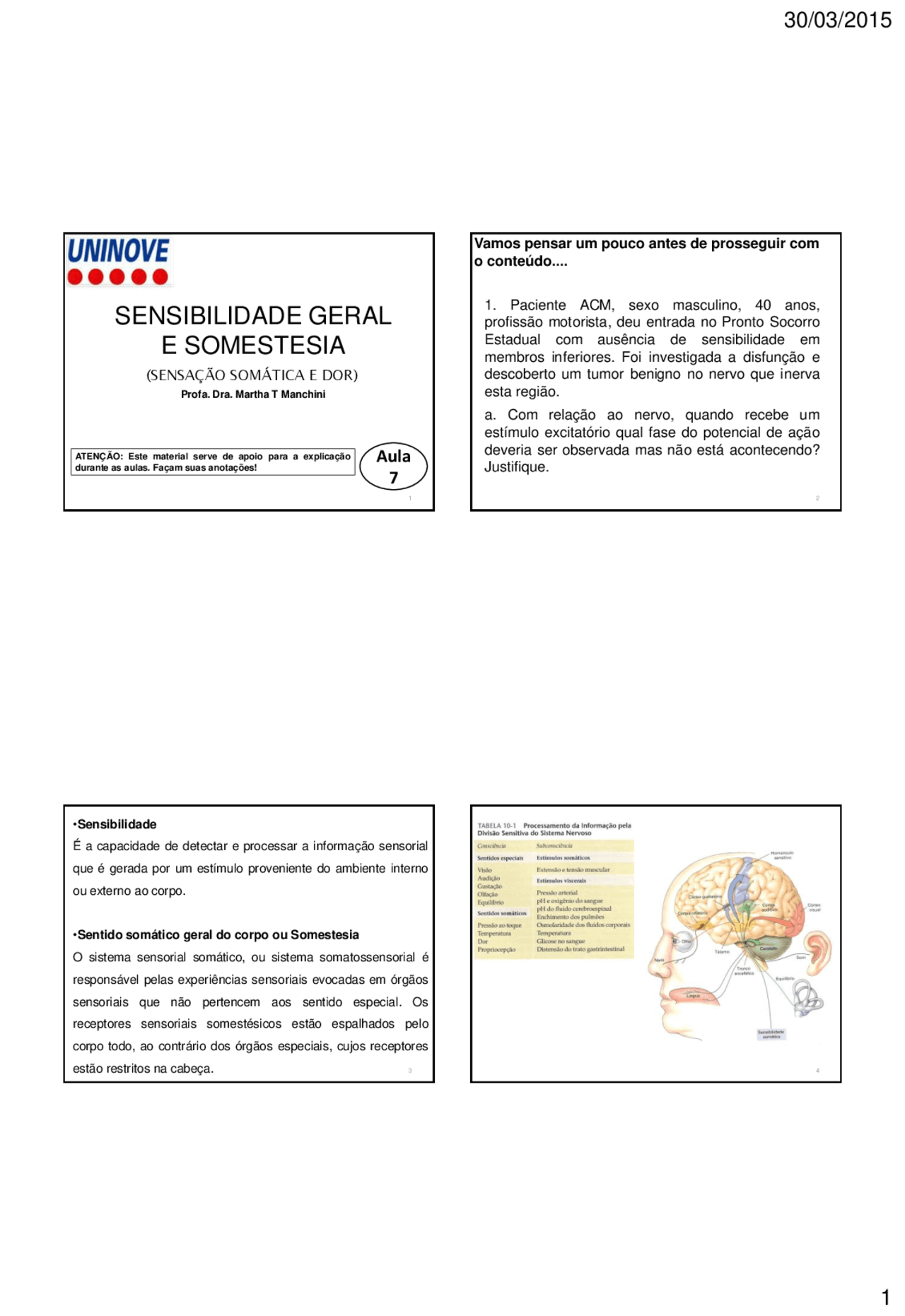 Sensibilidade Geral e Somestesia Martha - Aula de Sensibilidade e ...
