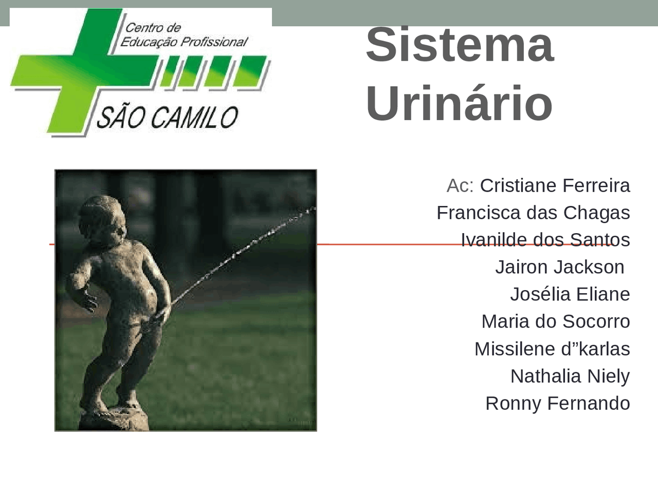 Sistema Urinário Sistema Urinário Docsity