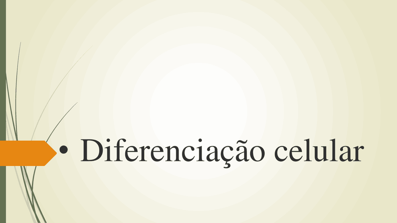 Diferenciação Celular Genetica Geral E Aplicada Docsity