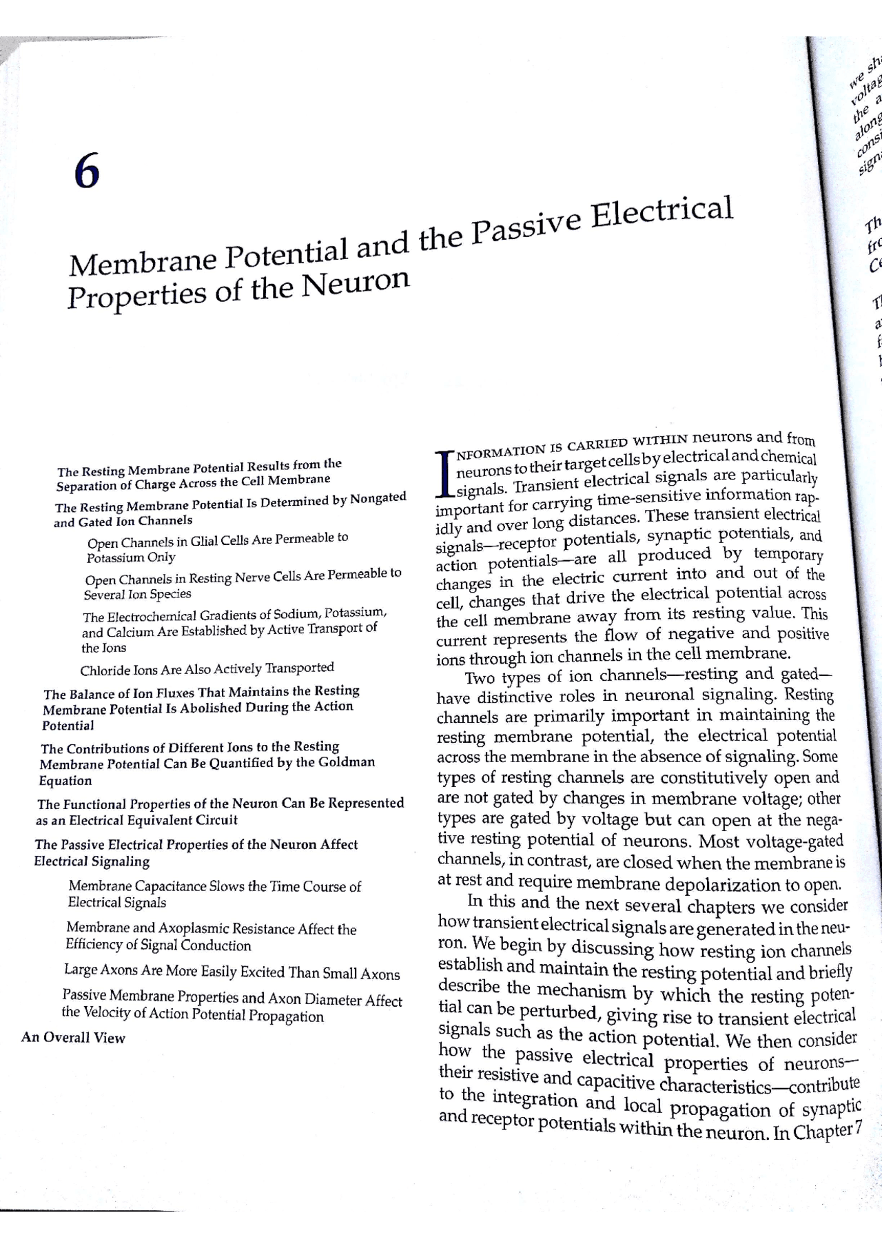 Membrane Potential And The Passive Electrical Properties Of The Neuron