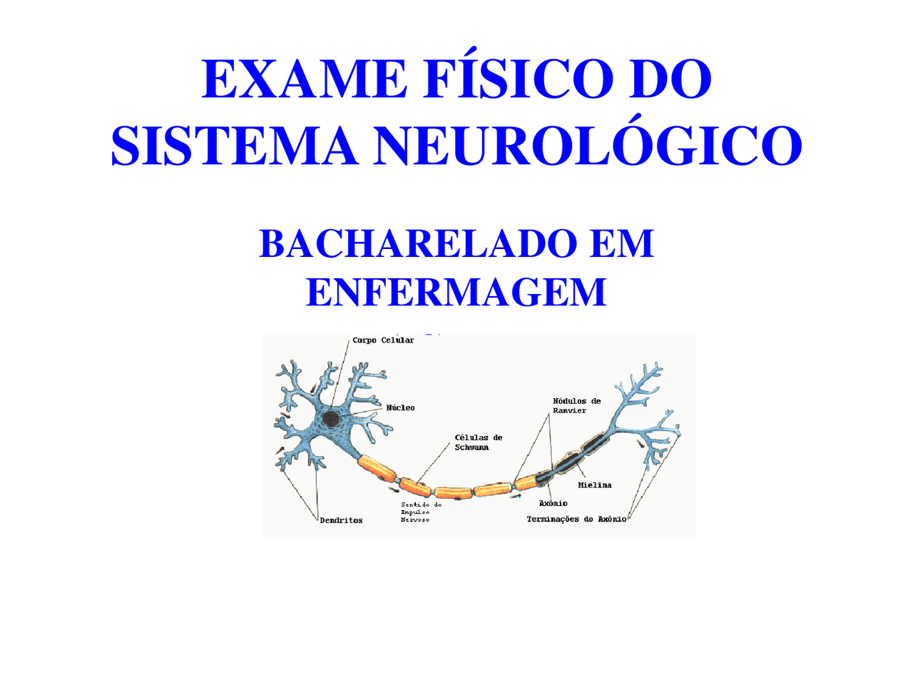 Exame Físico Do Sistema Neurológico Bases Da Anamnese Docsity