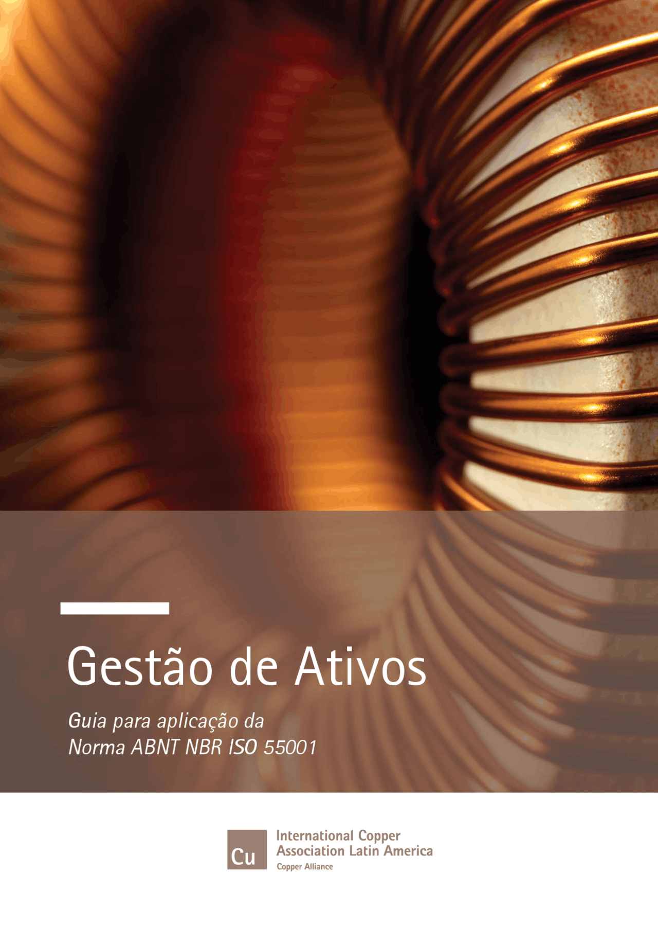 Gestao - de - Ativos - Guia - NBR - ISO - 550001 - Gestão de ativos ...