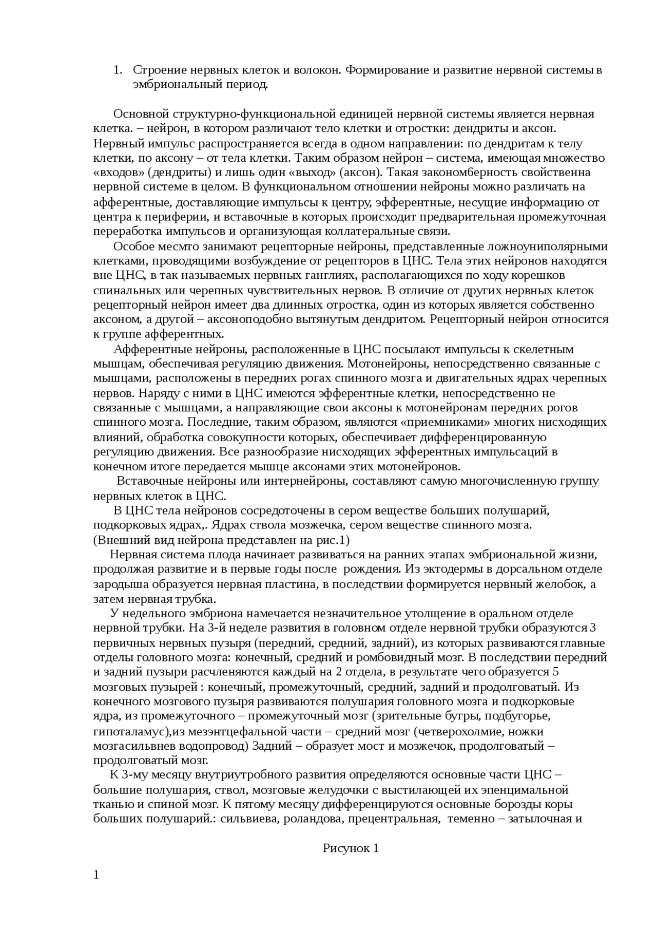 Строение нервной системы человека контрольная по биологии Docsity
