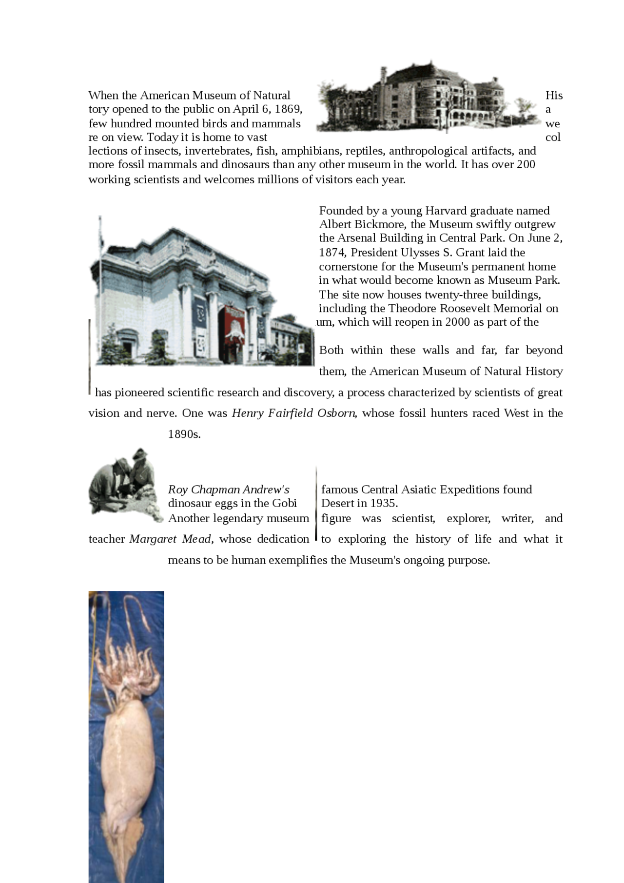 Some Main Elements Of The And Its Exhibition Giant Squid доклад по