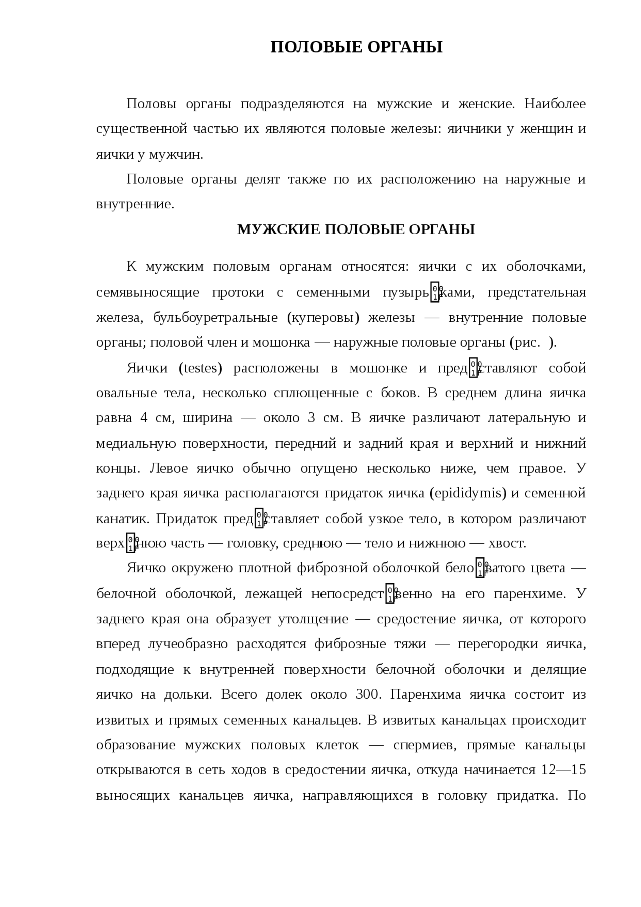 Мужские половые органы и система пищеварения реферат по биологии Docsity