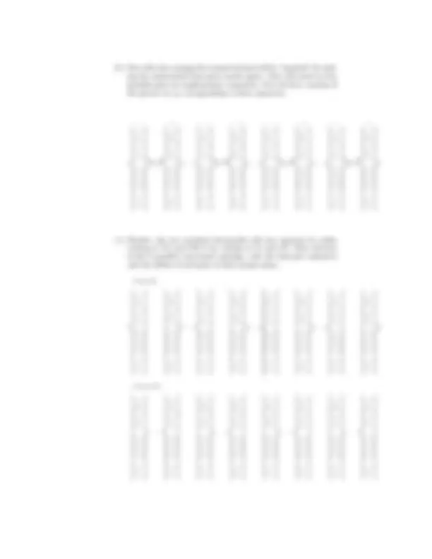 Assignment Solution: Nucleotide Sequence Analysis and DNA Replication ...