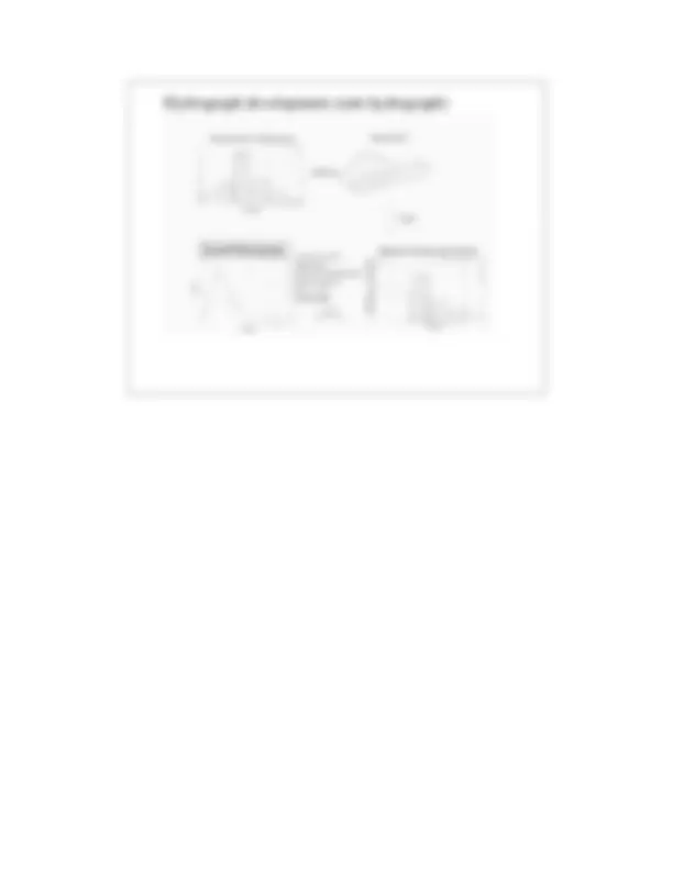 Unit Hydrographs in Urban Stormwater System Design - Prof. Mark A ...