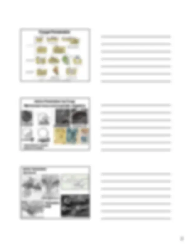 The Disease Cycle - Lecture Slides | PLP 3343 | Study notes Plant ...
