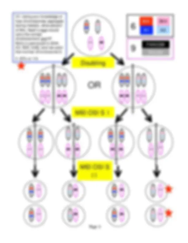 Chromosome 6 and HLA Genes - Environmental and Organismal Biology | ISB ...