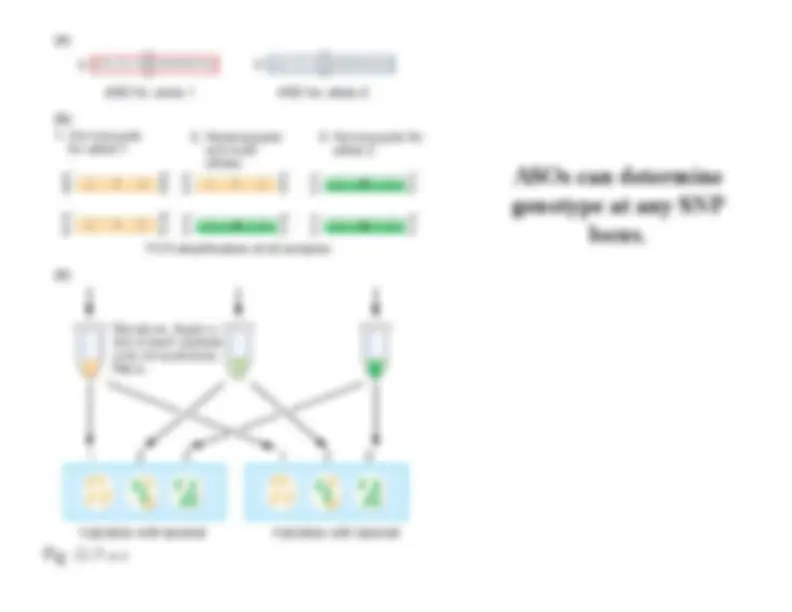 Notes on Mapping a Gene Defined by The Mutation | BSCI 410 | Study ...