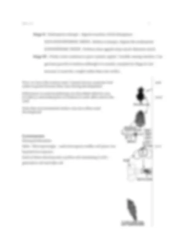 Seed Development of Plant Propagation - Final Exam | PLB 171 | Exams ...