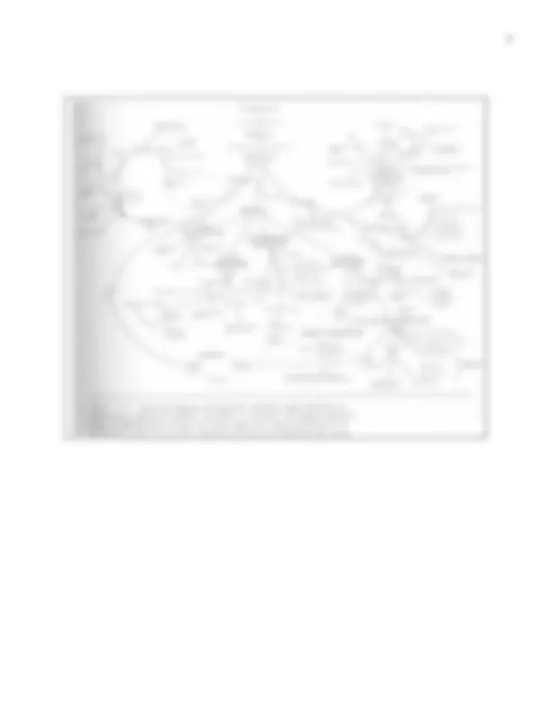 Comparative Anatomy of Vertebrates: Chapter 5 Review - Prof. Virginia ...