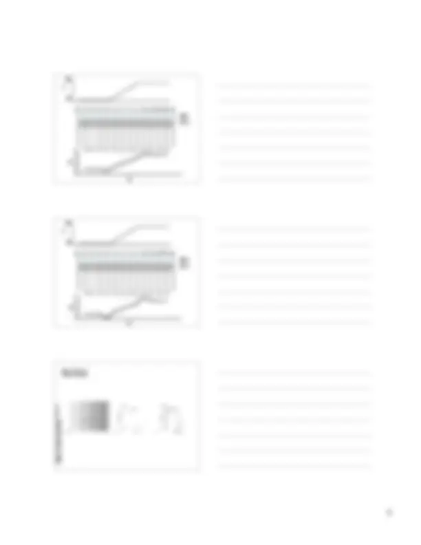 Lateral Inhibition in the Central Surround Organization | PSY 371 ...