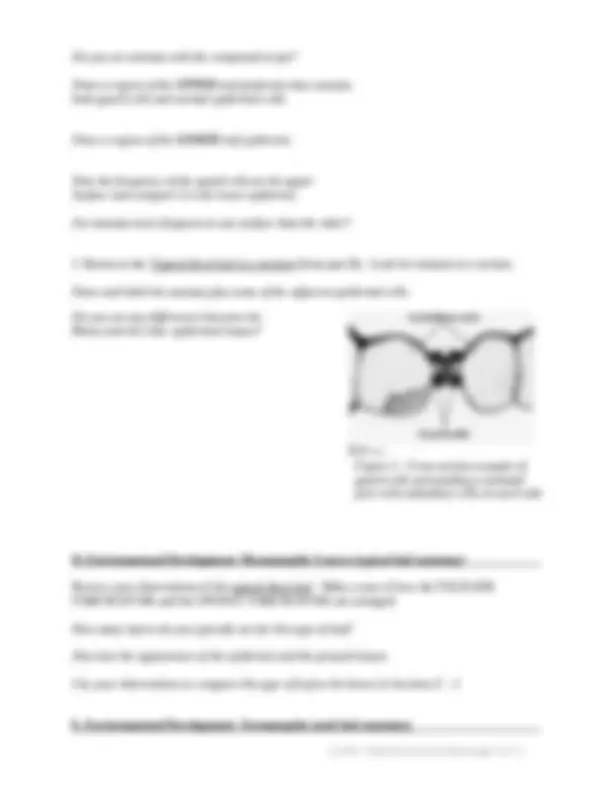 Lab 5: Primary Plant Body II: Leaves - Concepts of Botany | BIOL 221 ...