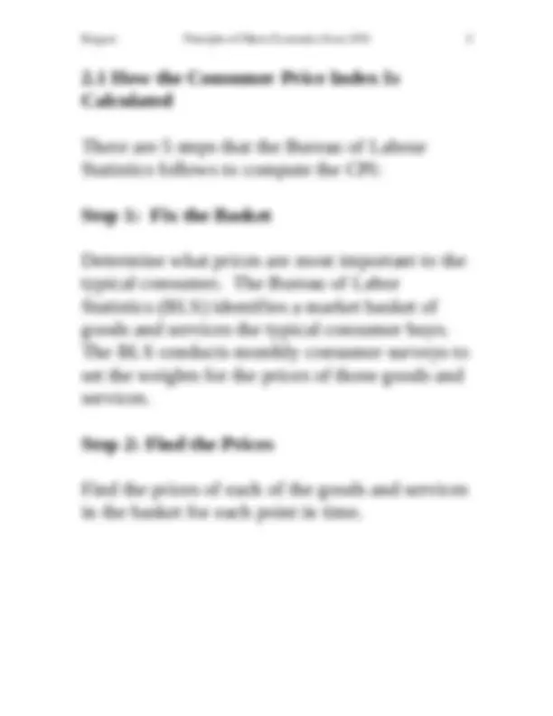 Understanding Consumer Price Index & Limitations in Macro Economics ...