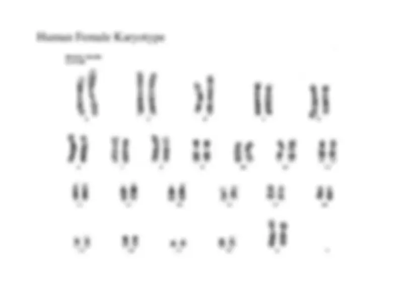 Meiosis and Sexual Reproduction - Lecture Notes | BSC 2011 | Study ...