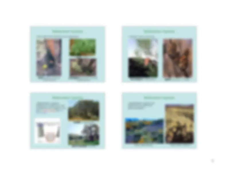 Mediterranean Biome: Characteristics, Vegetation, and Floristic Regions ...