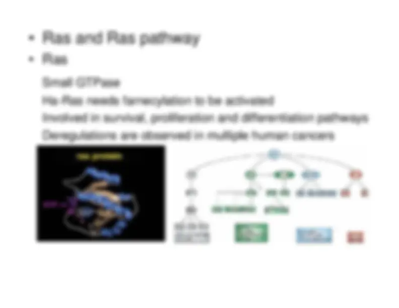 Interactions of Ras and Fas/FasL Pathways in LGL Leukemia: A Network ...