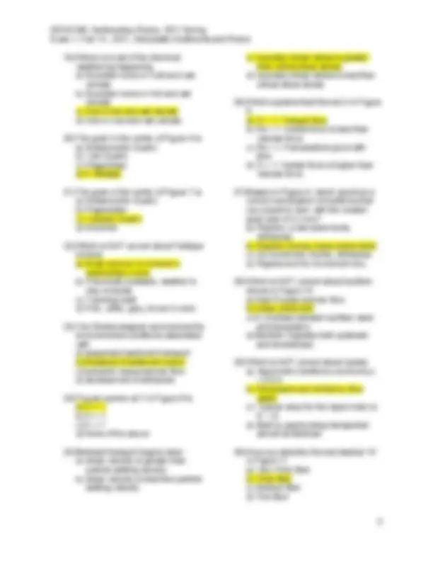 Final Exam 1 with Answer Key for Sedimentary Rocks | GEO 416M | Exams ...