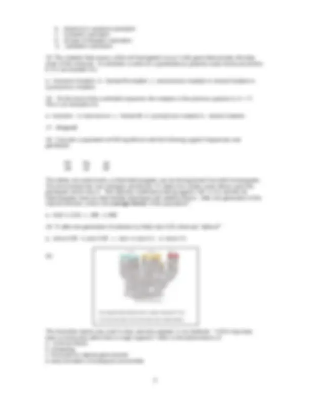 80 Questions on the Evolutionary Biology - Final Exam | BIOL 2704 ...