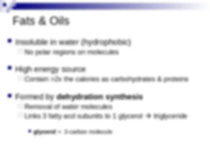 Understanding Lipids and Carbohydrates: Structure, Functions, and ...