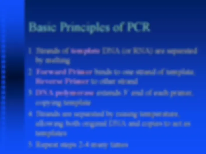 PCR Primer Designs And Basic Principls Of Entrez - Lecture Slide - Biology 1 | Slides Biology ...