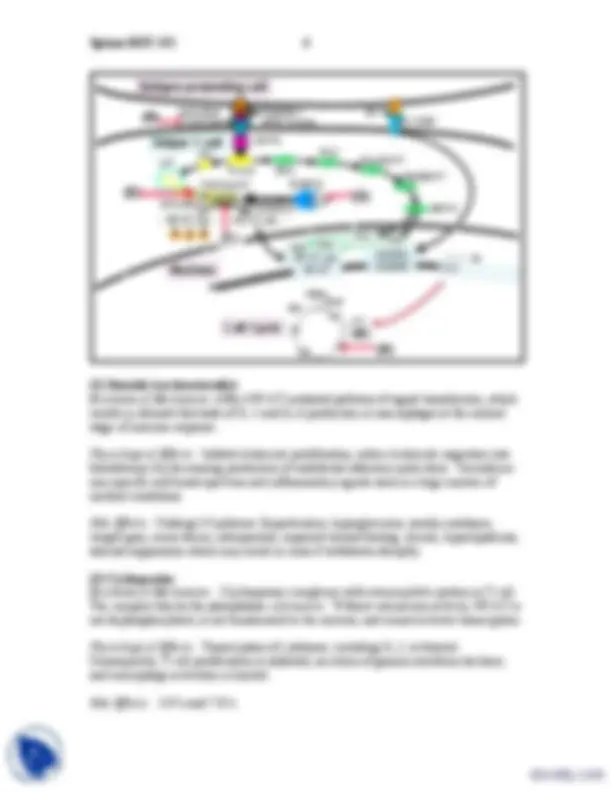 Immunosuppression for Solid Organ and Bone Marrow Transplantation ...