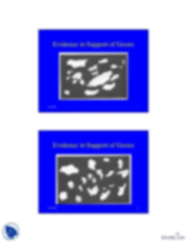 Theories of Object Recognition: Marr & Nishihara Model, Geons, View ...