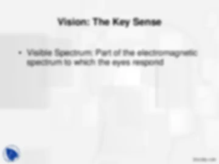 Sensation and Perception - Research Methods - Lecture Slides | Slides Research Methodology | Docsity