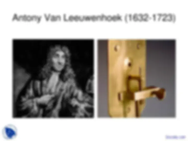 First Microscope - General Botany - Lecture Slides | Slides Botany and Agronomy | Docsity