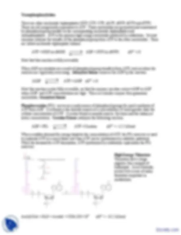 Bioenergetics - Biochemistry - Lecture Notes | Study notes Biochemistry ...