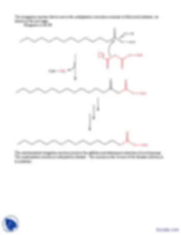 Fatty Acid Biosynthesis - Biochemistry - Lecture Notes | Study notes ...