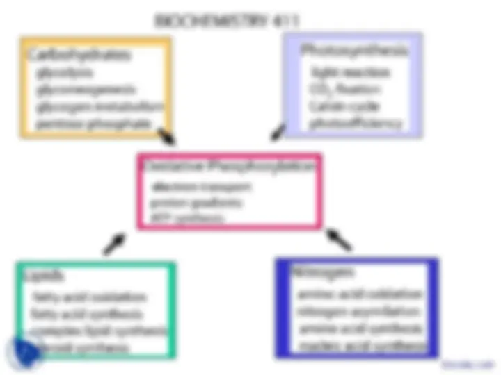 Introduction of Biochemistry - Biochemistry - Lecture Slides | Slides Biochemistry | Docsity