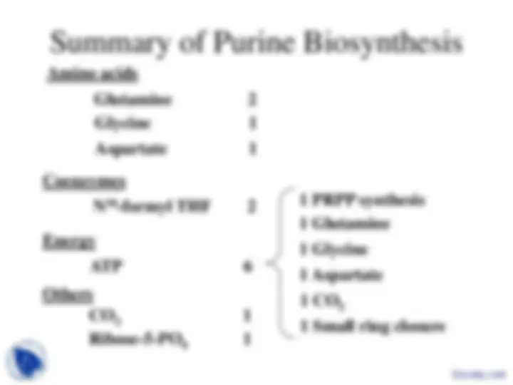 Nucleotide Biosynthesis - Biochemistry - Lecture Slides | Slides Biochemistry | Docsity