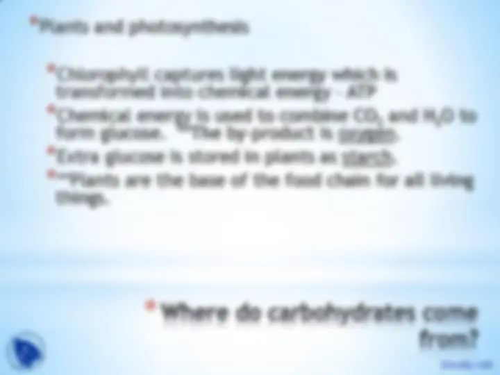 Carbohydrates - Biology - Lecture Slides | Slides Biology | Docsity