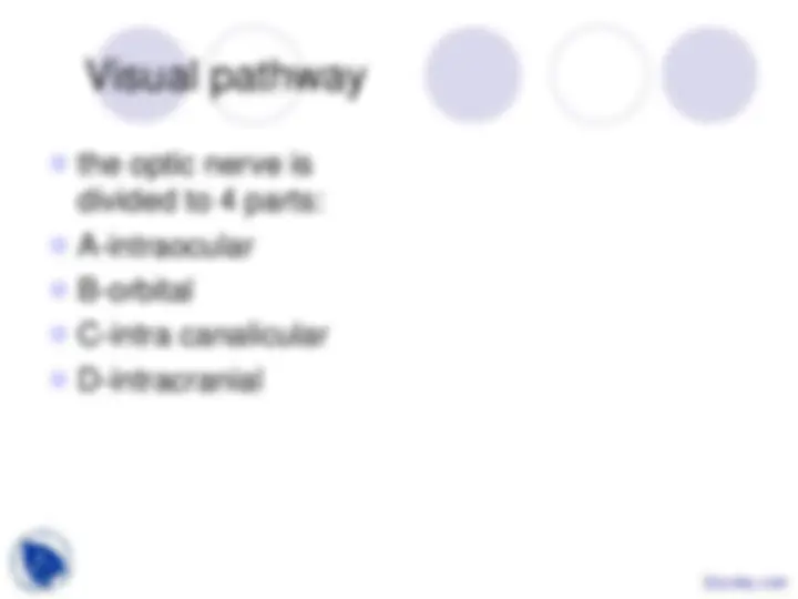 Neuro Opthalmology Disease - Introduction to Ophthalmology - Lecture Slides | Slides ...