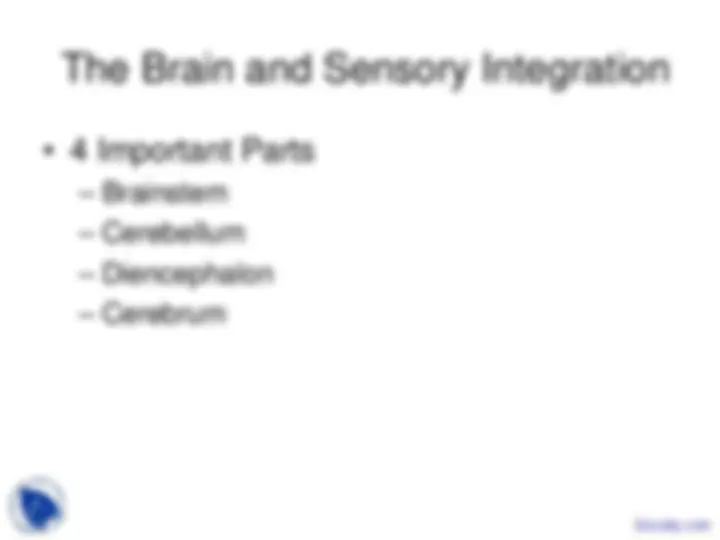 Sensory Integration Dysfunction: Understanding the Processing of ...