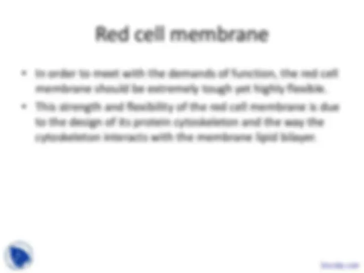 Red Cell Membrane - Introduction to Hematology - Lecture Slides ...